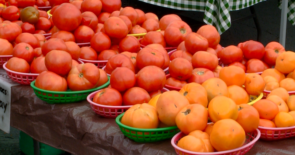 New state funding supports agriculture industry, fights food insecurity ...