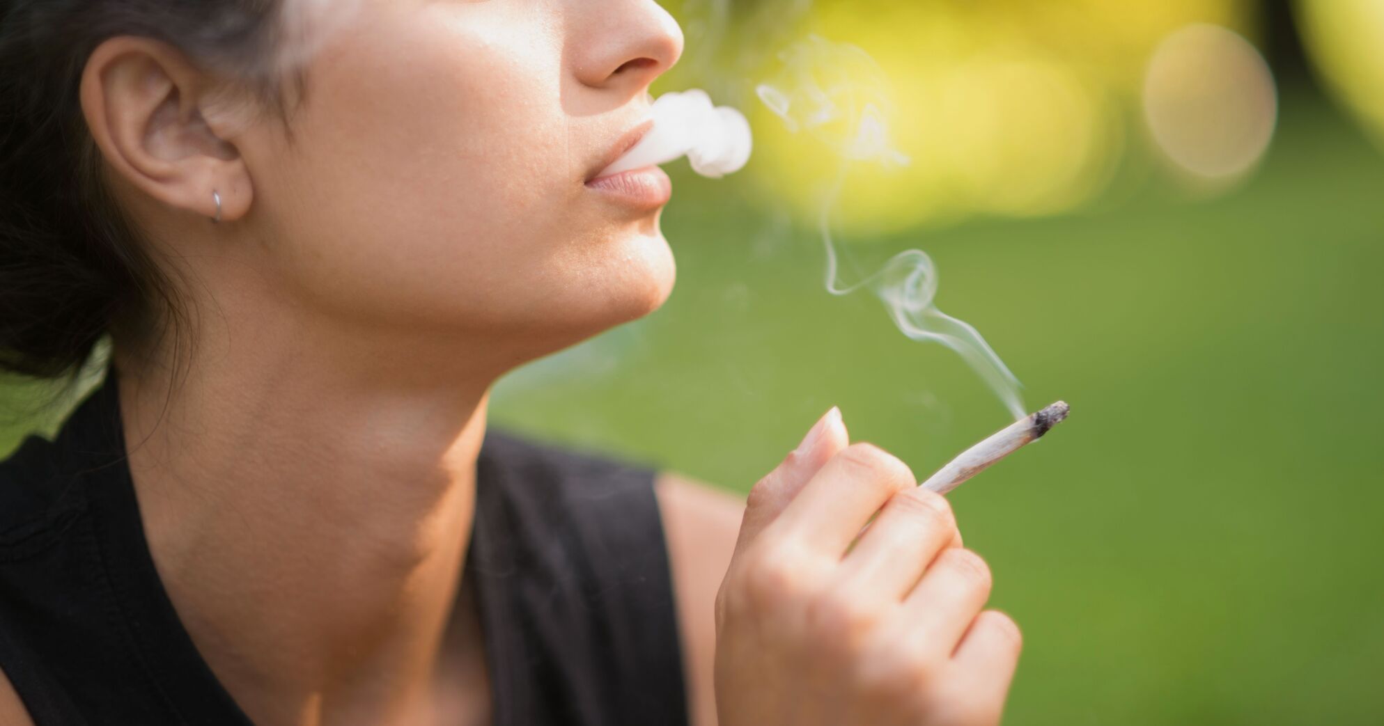 Marijuana may cause chromosomal defects in human egg cells, study finds ...