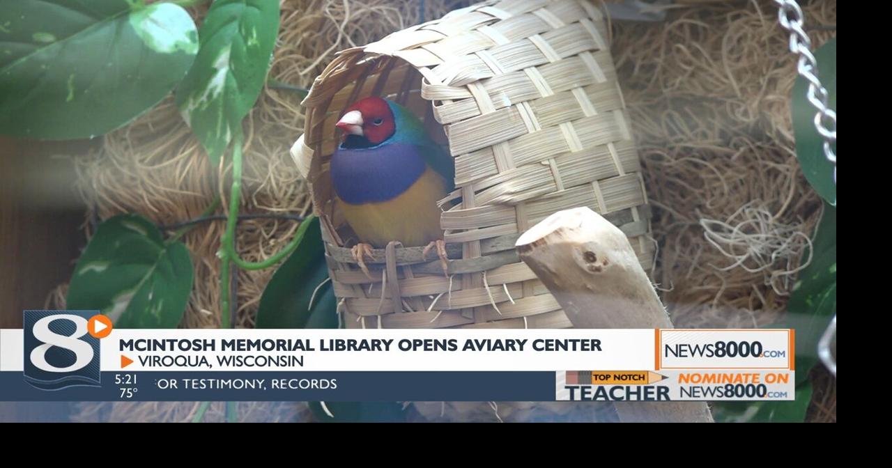 Viroqua’s McIntosh Memorial Library opens Aviary Center | Entertainment ...
