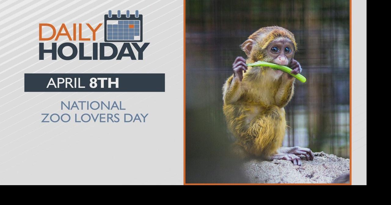 Daily Holiday – National zoo lovers day | Features | news8000.com