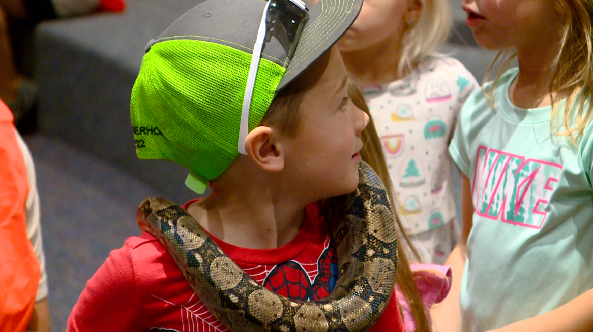 Children's Museum of La Crosse Hosts 'Critter Crawl' | Events ...