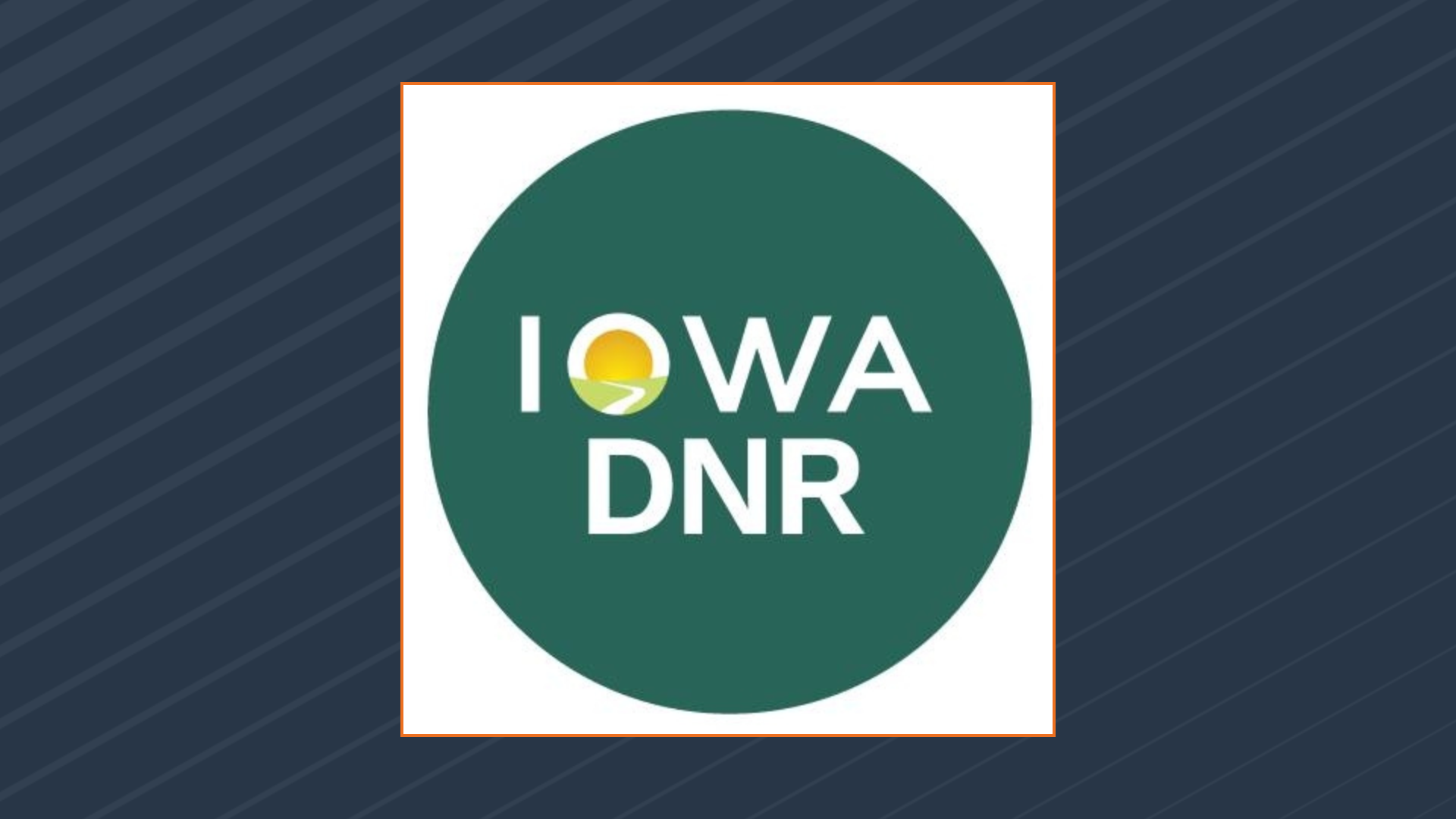 Regional News | news8000.com