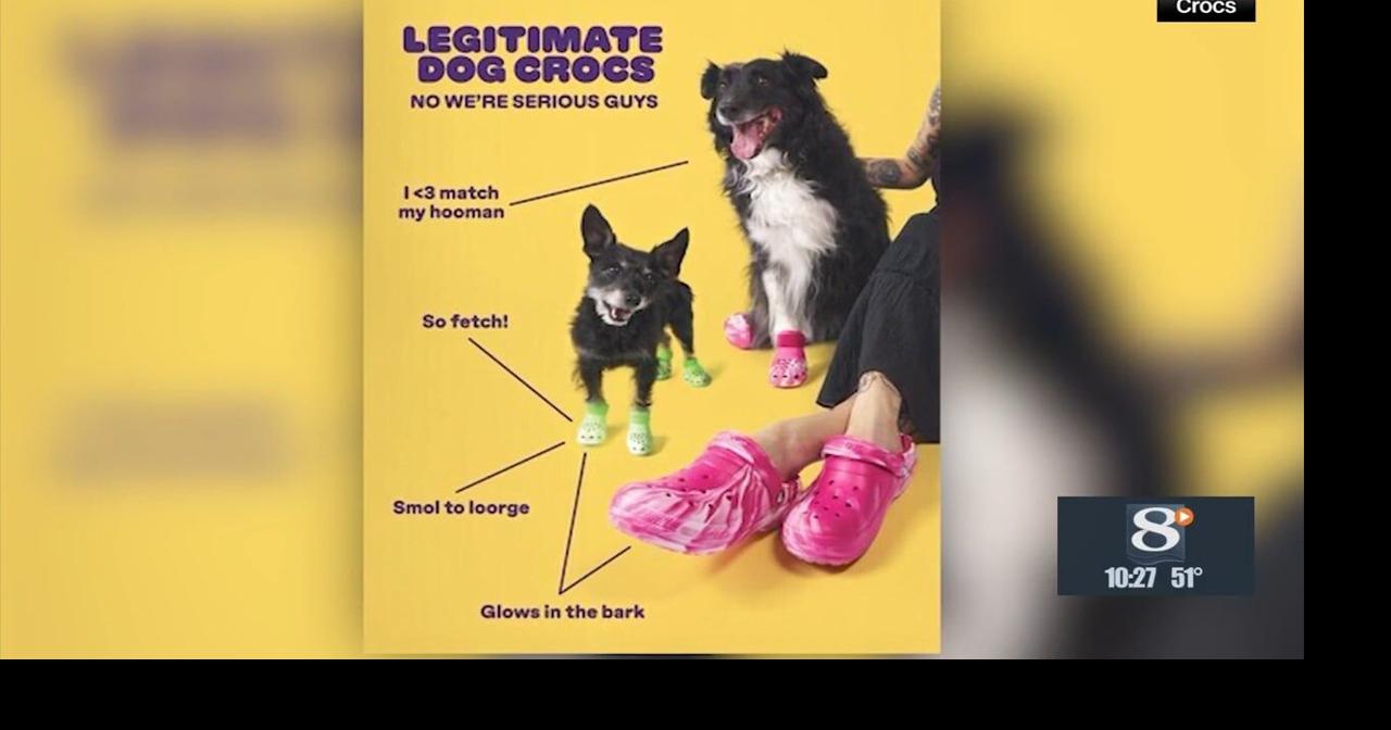 Crocs to sell clogs for dogs! | News | news8000.com