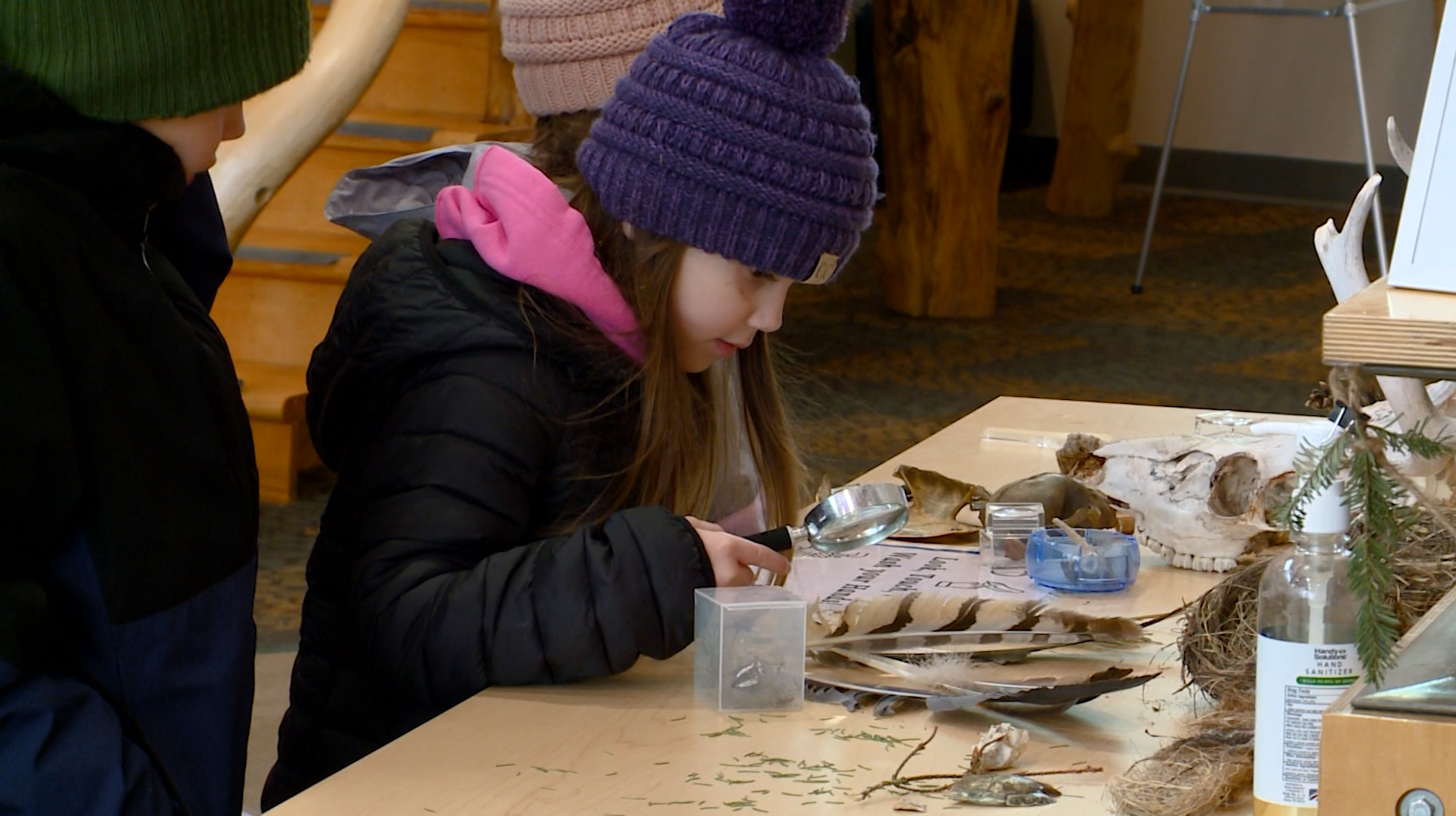 Families explore winter wildlife during 'Nature Saturday' event | La ...