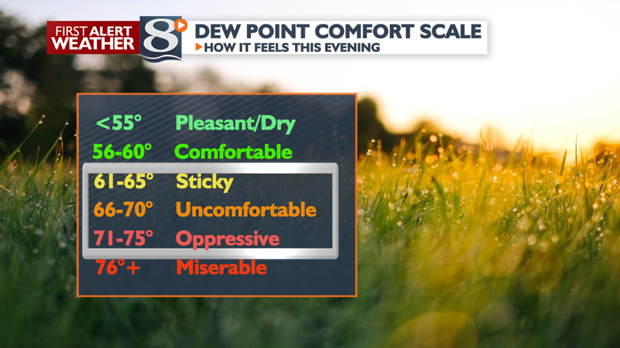 Hot & humid: Make sure you hydrate! — Isabella Hulsizer | Forecast ...