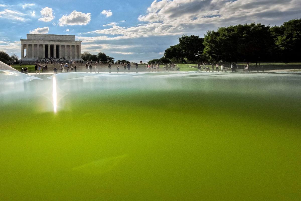 Park Service will drain, repair Reflecting Pool after July Fourth ...