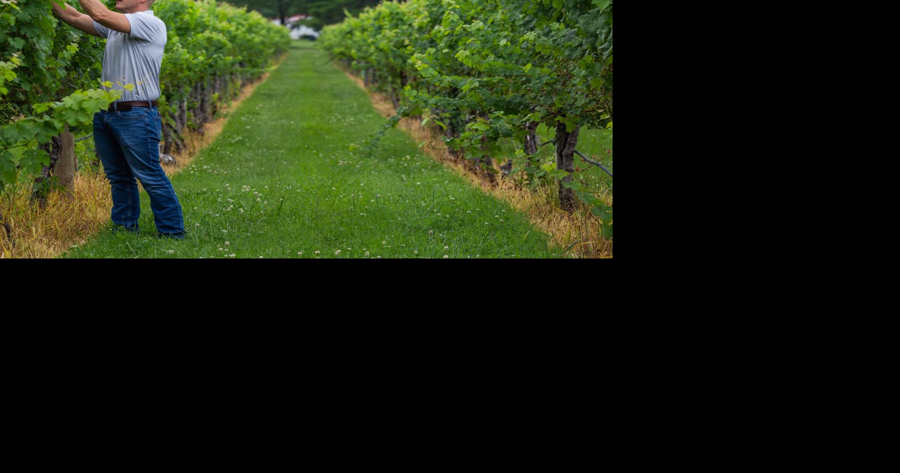 Veritas Vineyard in Afton to sell to new local ownership
