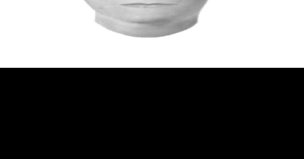 Virginia Tech gun scare