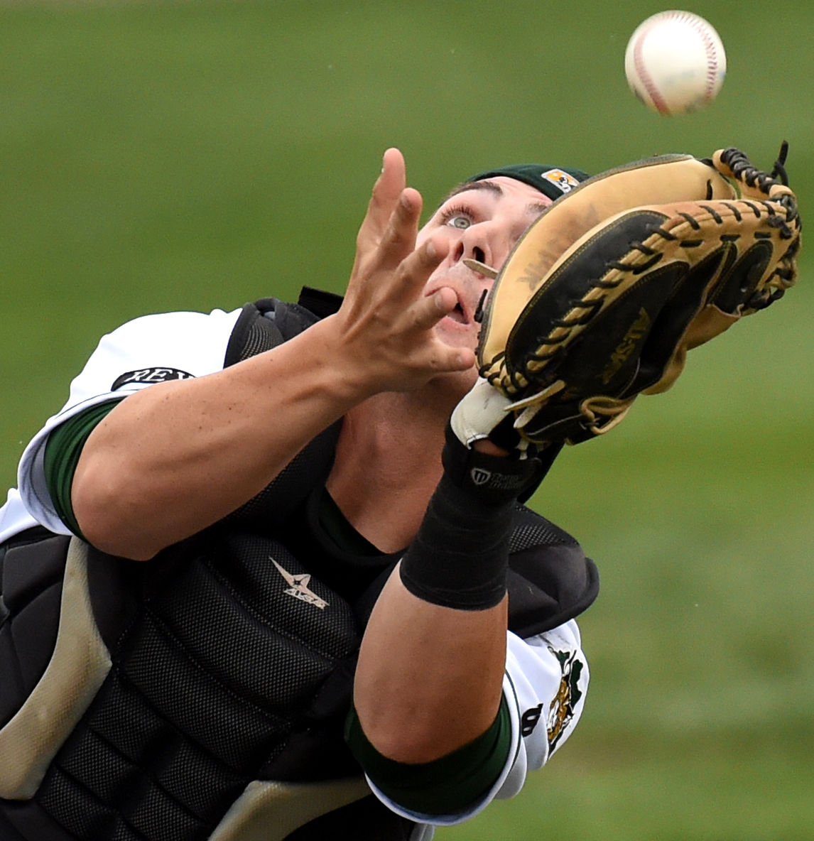 Ahrens lifts Hillcats to victory amid protest from Dash | Sports ...