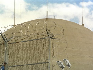 Surry nuclear plant could be out of service for several days