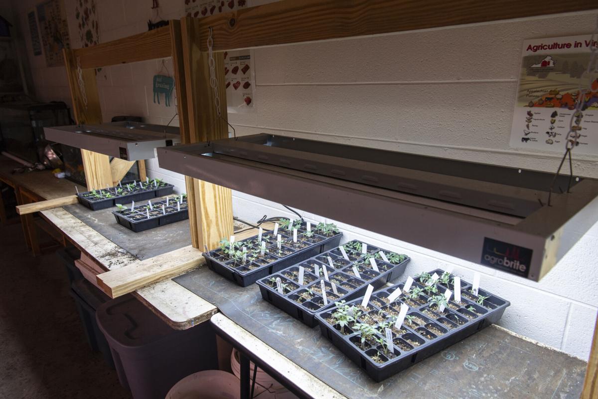 Hands-on learning takes root in Amherst school's ag course