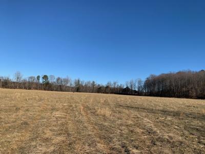 Amherst Co. opposes bill to nix local review of solar farms