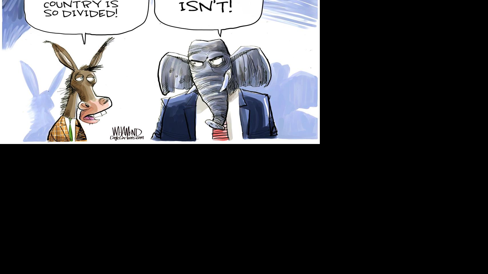 America Divided | Cartoons | newsadvance.com