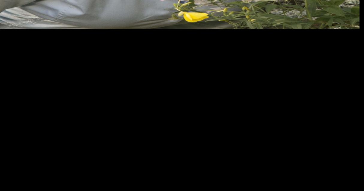 Shipman mountain a main feature of Nelson landowner's book