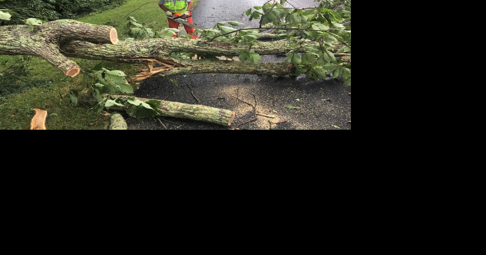 Shuttered section of Blue Ridge Parkway reopened after storm damage cleared