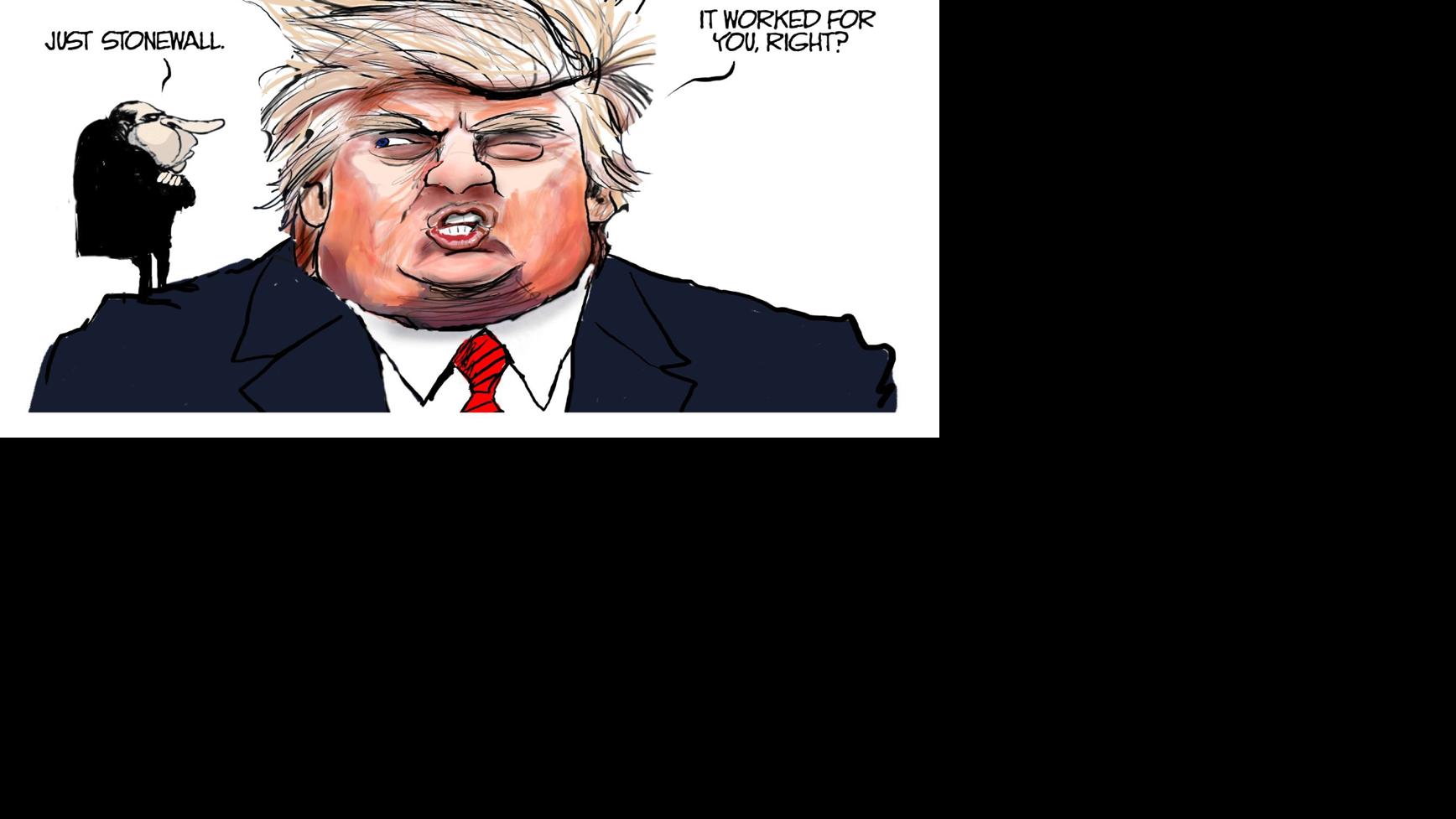 Just Stonewall | Cartoons | newsadvance.com