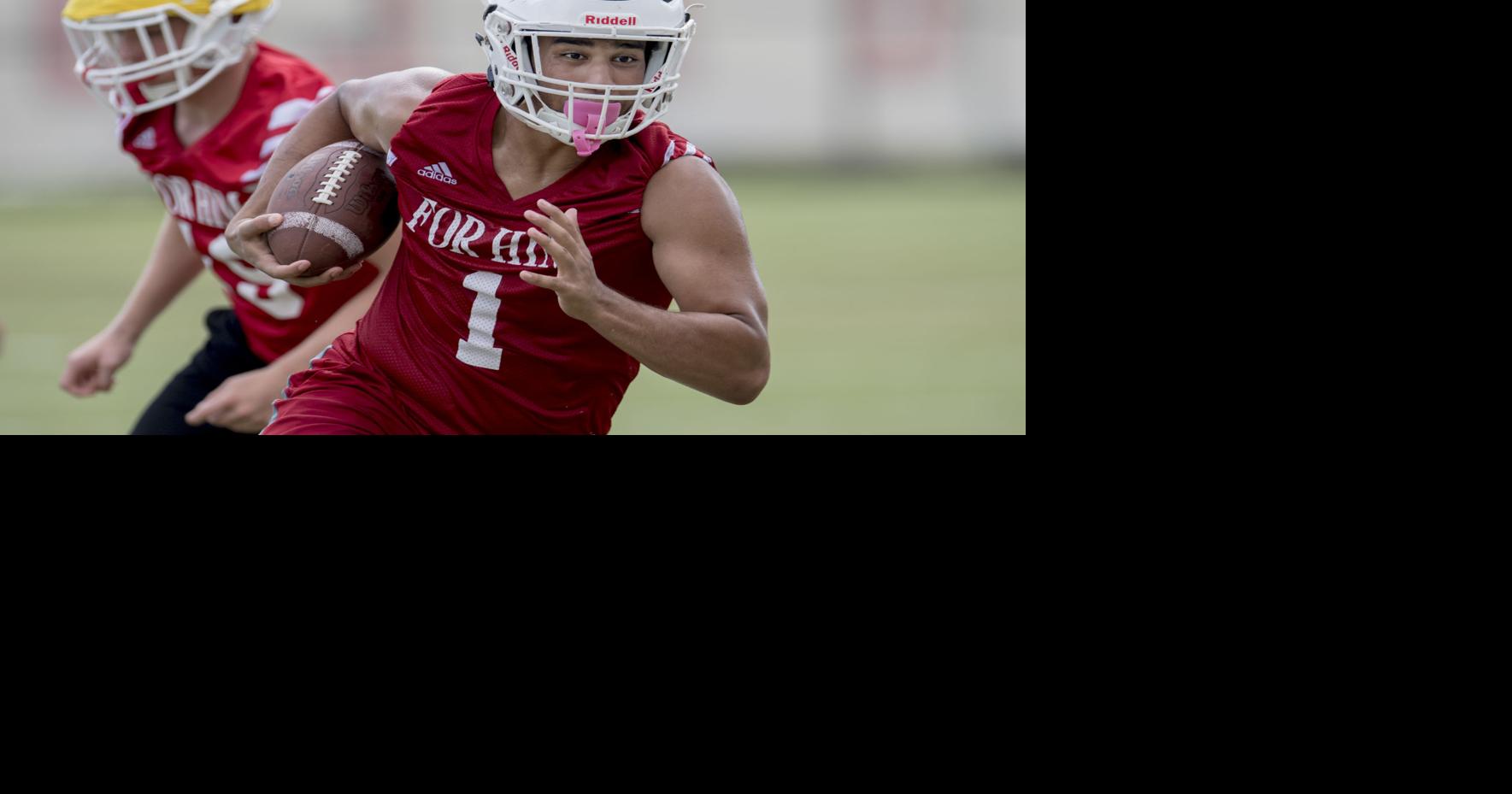 High School Football Countdown: No. 8: LCA Bulldogs