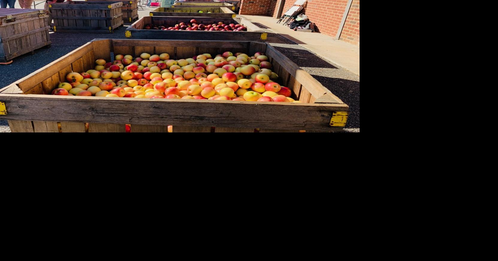 Apple Harvest Festival tradition continues in Amherst