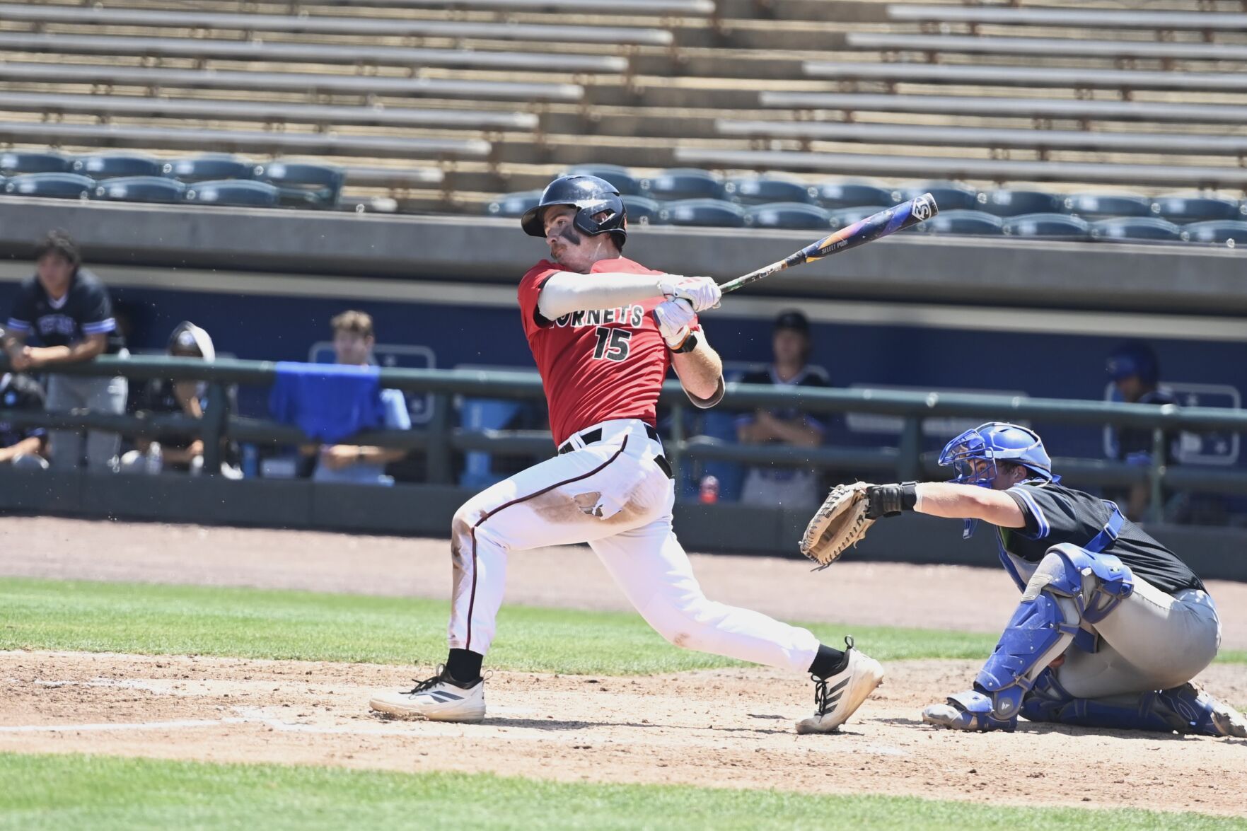 Lynchburg's Pokorak brothers helping fuel red-hot offense