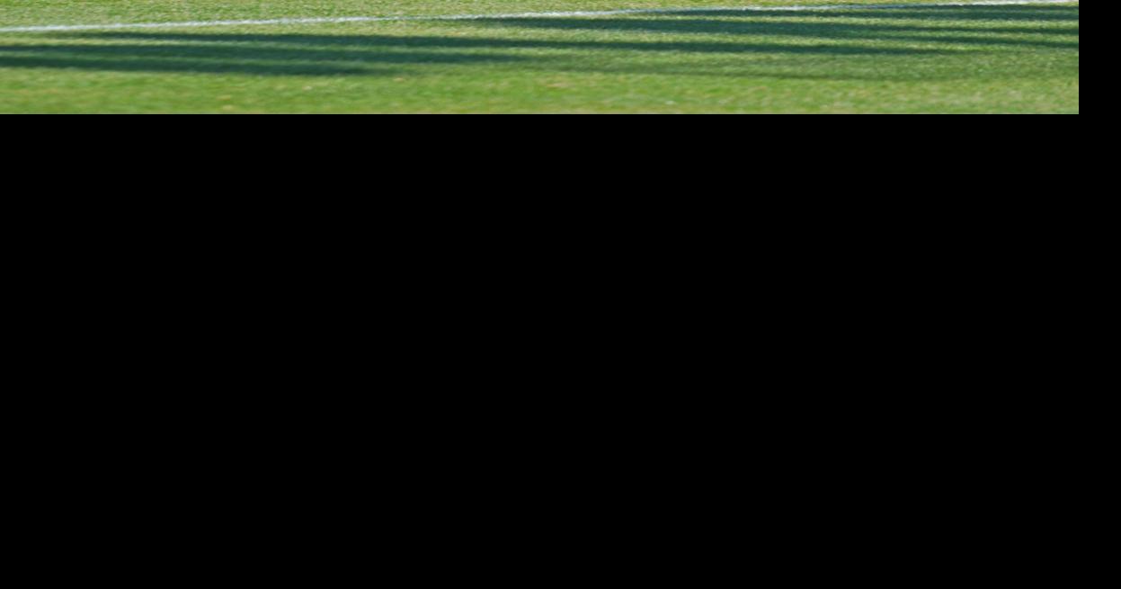 Patience the key in Roanoke College's first-ever ODAC baseball title