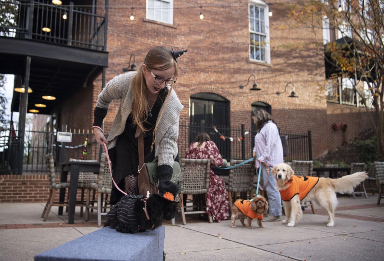 Lynchburg's Craddock Terry Hotel holds pet costume contest