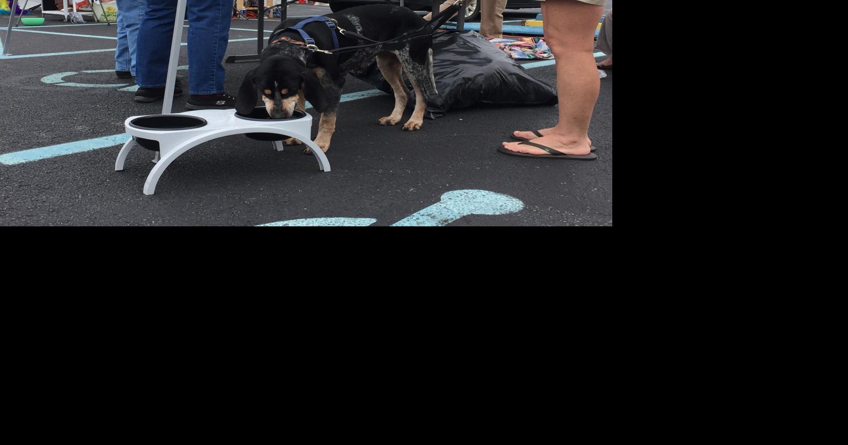 Craft fair benefits Campbell humane society