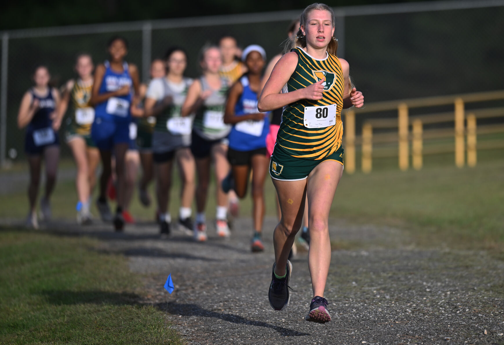 Nelson cross country runners pick up the pace