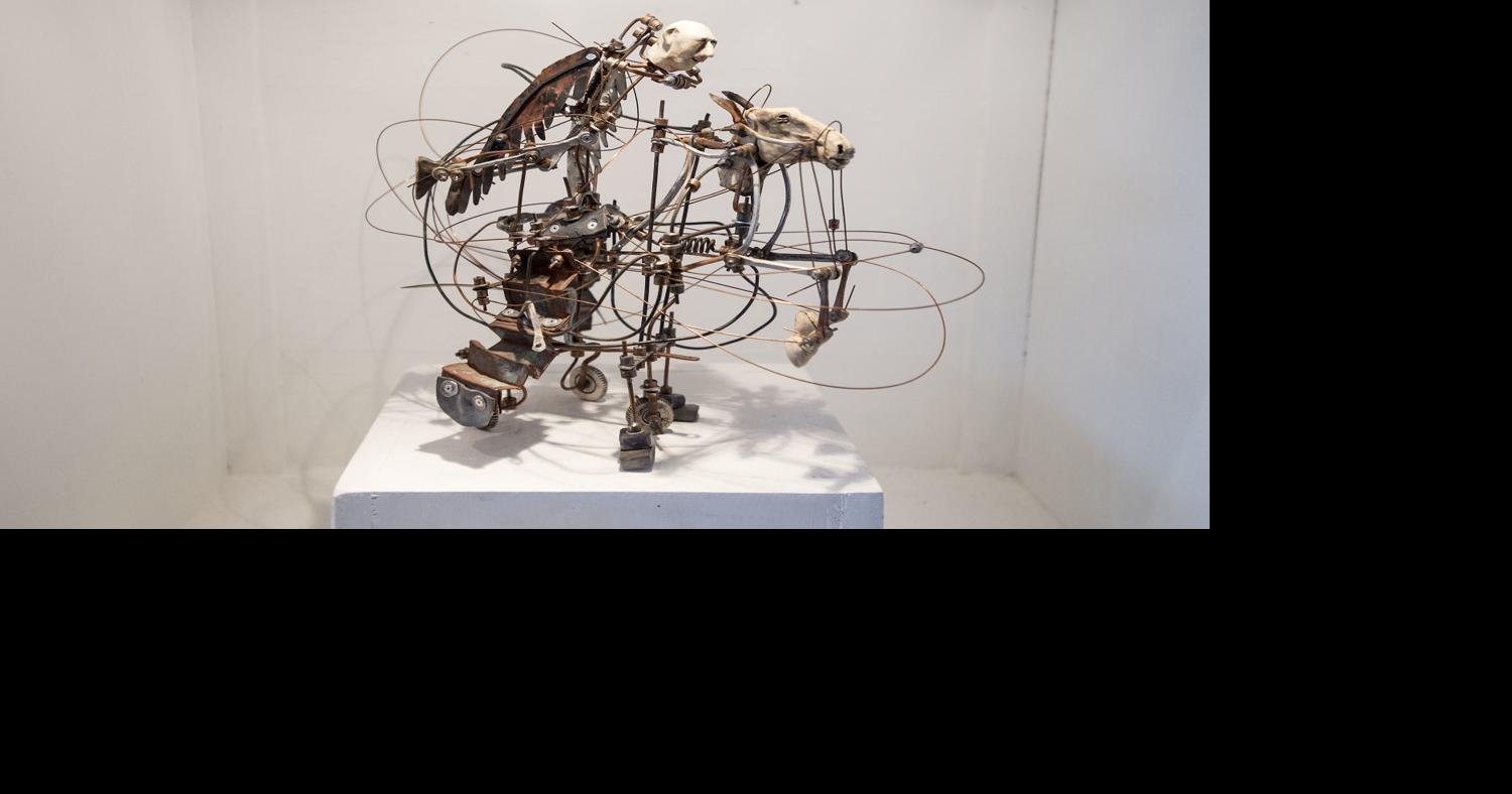 The wild art of Aggie Zed