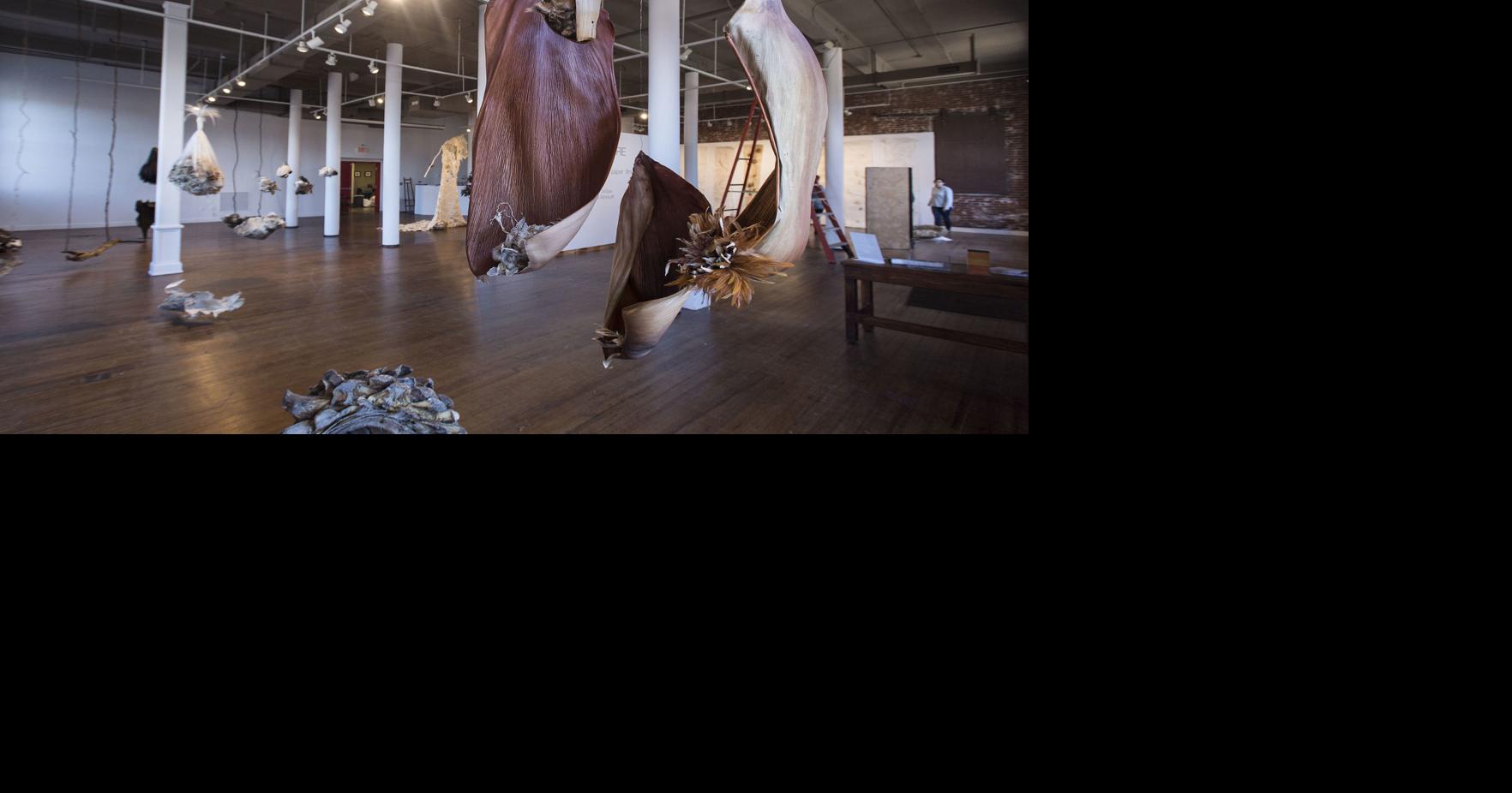 Riverviews Artspace to hold new exhibition in Lynchburg