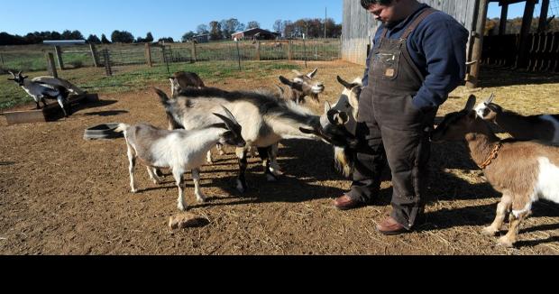 Concord's Spring Mill Farm offers sustainable, local products