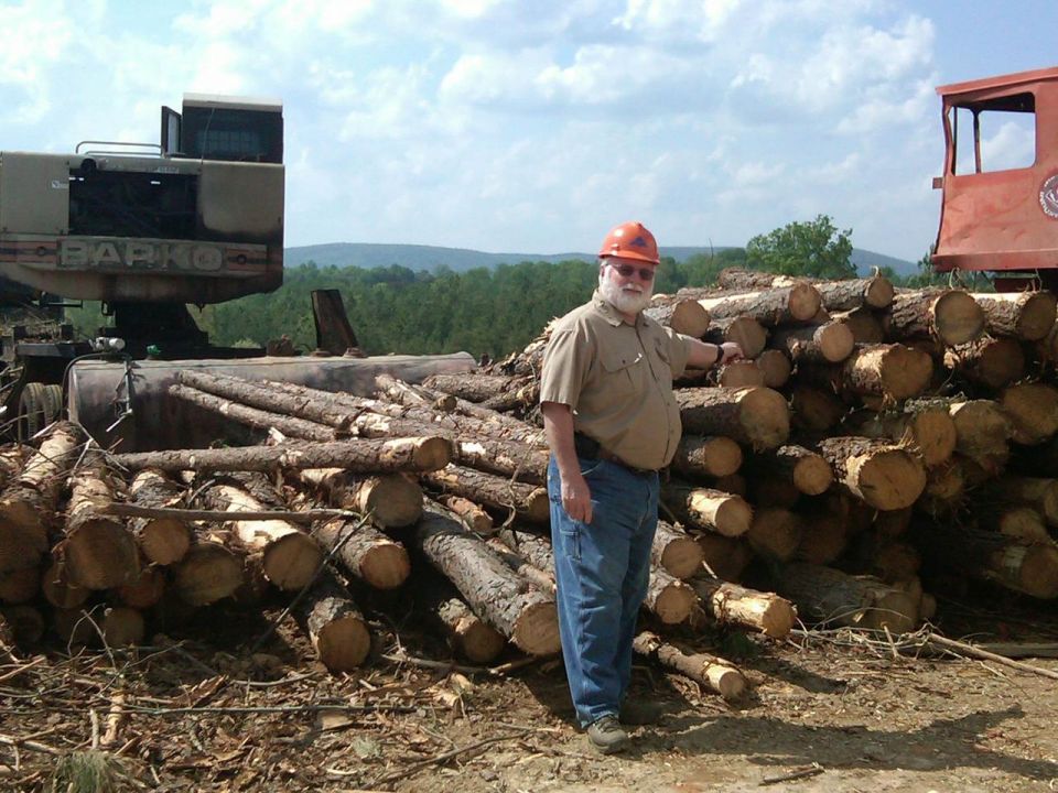 Biomass plants could help local forestry industry