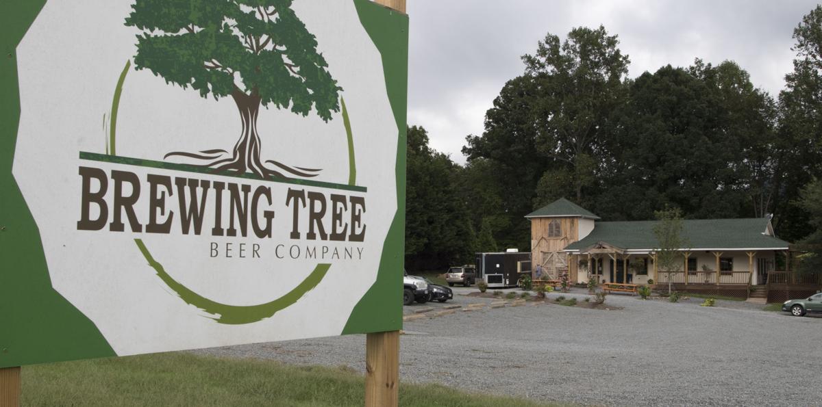 For Brewing Tree Beer Company, small is the new big