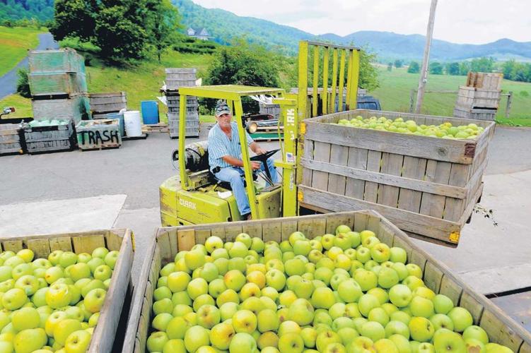 Drumheller's Orchard still blooming, 75 years after family purchase