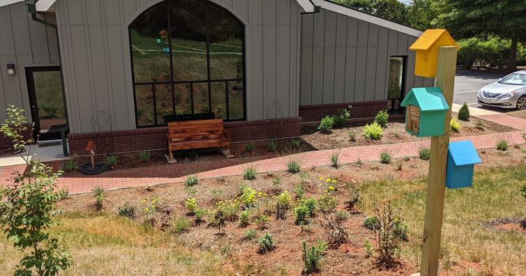 Nelson Memorial Library pollinator and sensory garden thriving