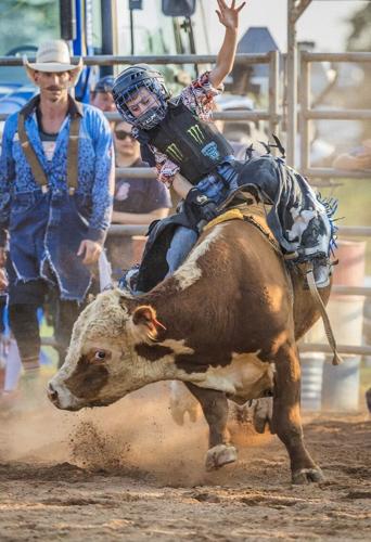 Amherst mini-bull rider enjoys riding on rodeo circuit