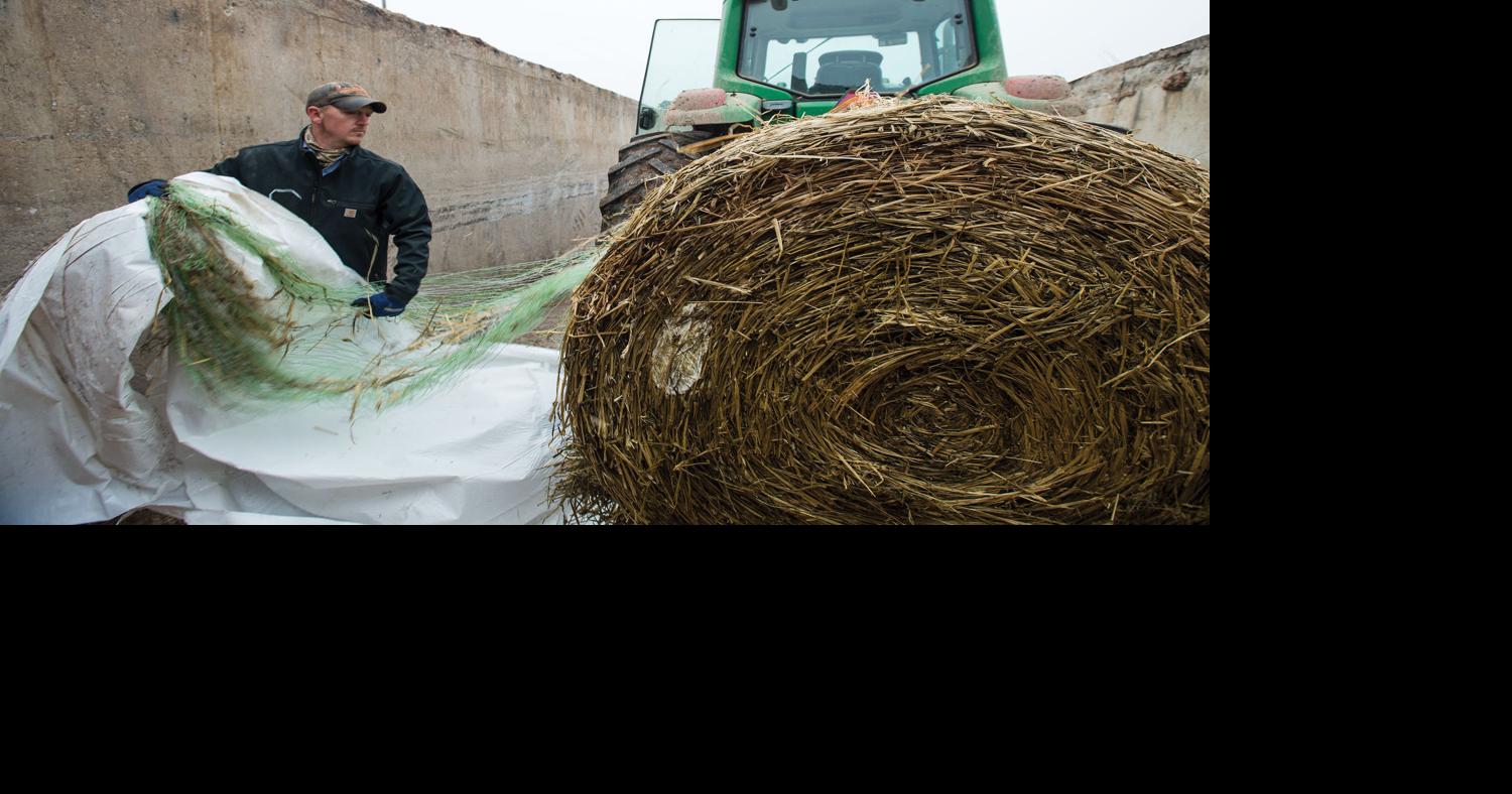 Permit approved for biosolids storage barn in Huddleston