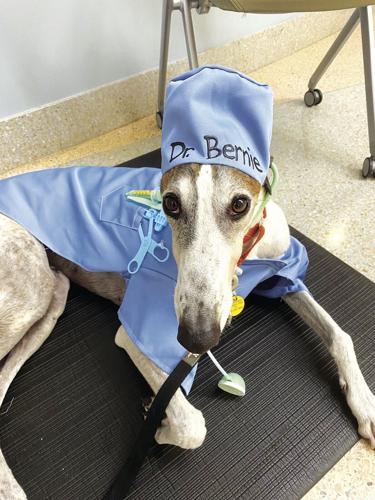 A superstar and his handler | News | newsargus.com