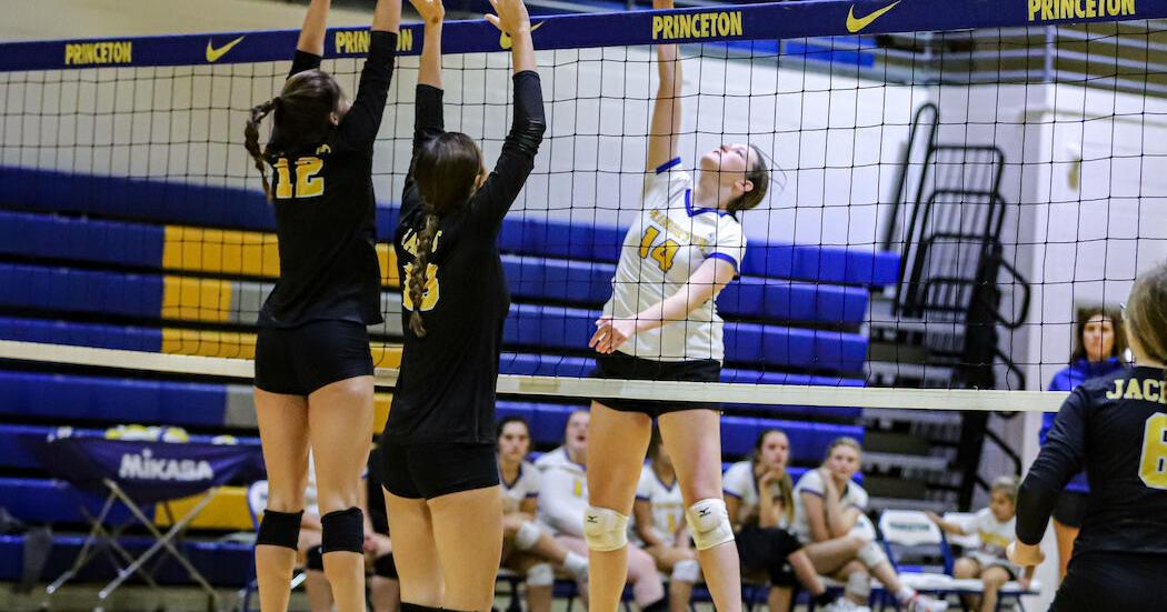 Princeton wins playoff opener | Sports | newsargus.com