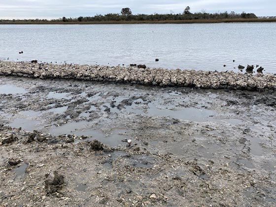 Phase two of Living Shoreline Project installed at Sunset Beach Town ...