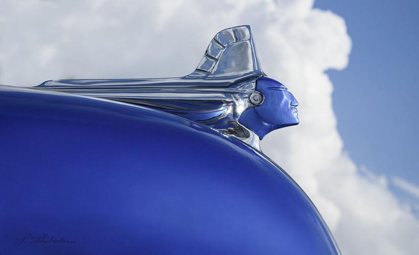 Cape Fear Camera Club presents Images of Distinction through Sept. 16 ...