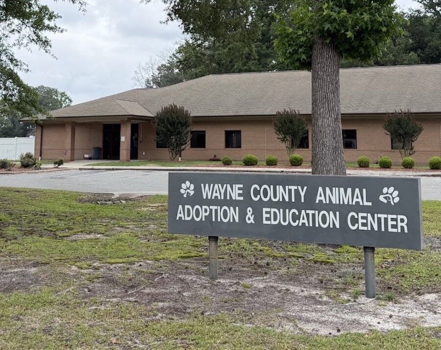 Inspections reveal ongoing animal shelter problems | Local News ...