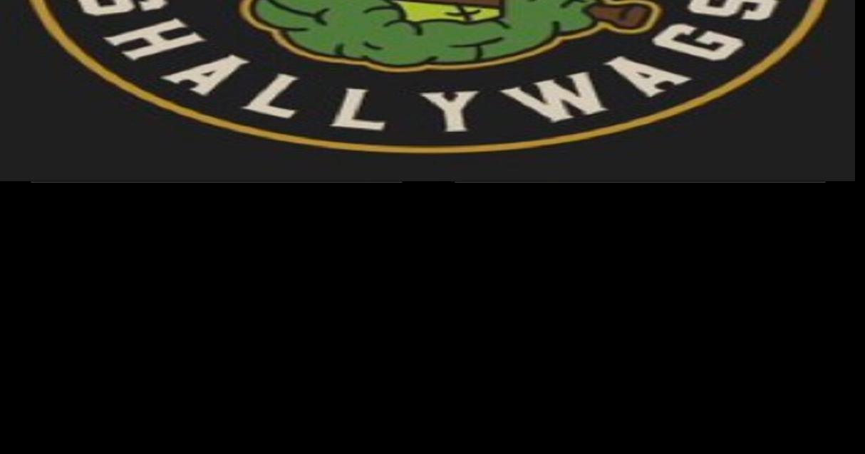 Shallywags replace Surfin’ Turfs, bring college summer baseball back to ...