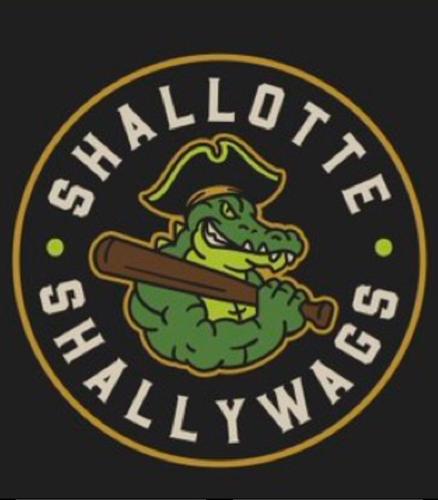 Shallywags replace Surfin’ Turfs, bring college summer baseball back to ...
