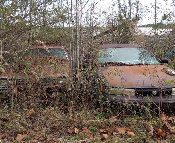 'Roadworthy Rescues' revives AMC dealership legacy | Local News ...