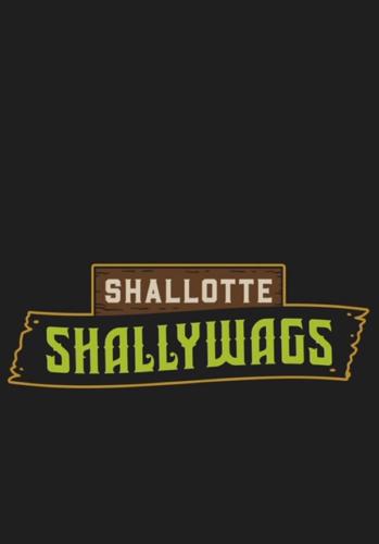 Shallywags replace Surfin’ Turfs, bring college summer baseball back to ...