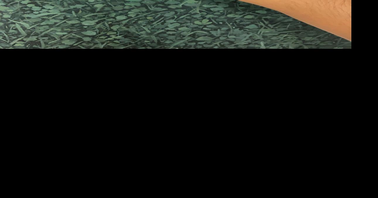 Artist preserves little moments in time | Life Family | newsargus.com