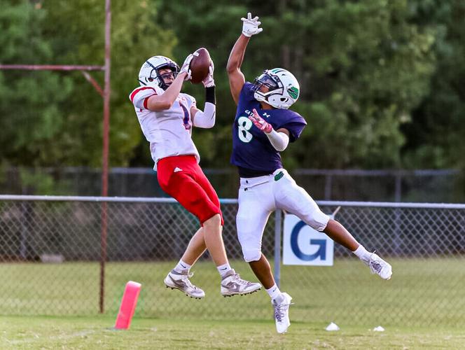 Wayne Christian shuts out Spring Creek | Sports | newsargus.com