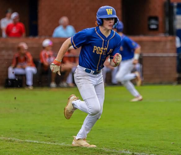 Wayne County plays in state tournament | Sports | newsargus.com