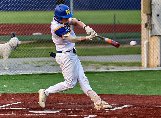 Wayne County is 1 game away from state tournament | Sports | newsargus.com