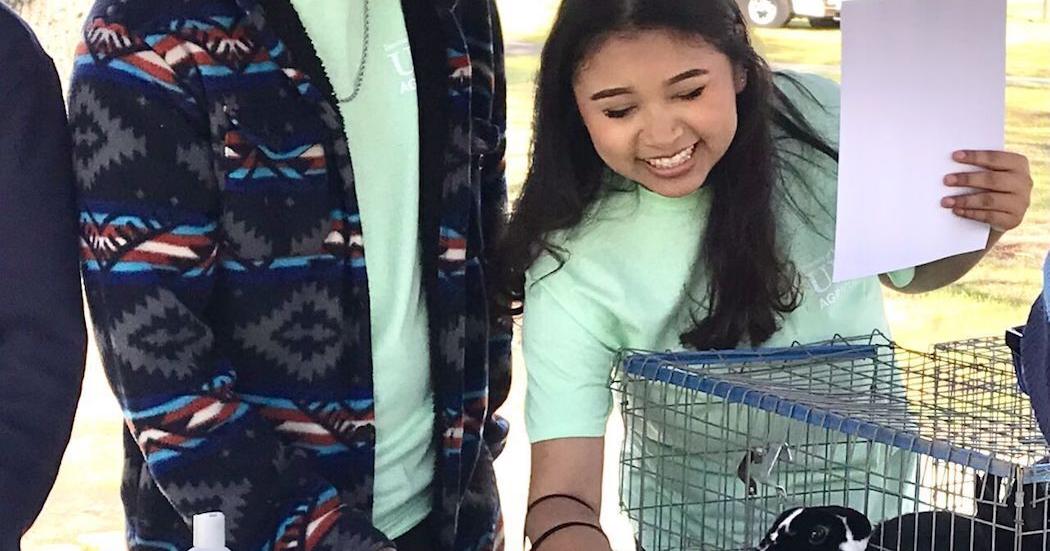 AgFest draws thousands to UMO campus | Mo | newsargus.com